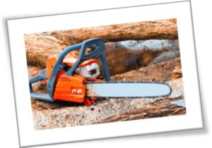 The Complete Chainsaw Buying Guide – Powertoolbuzz