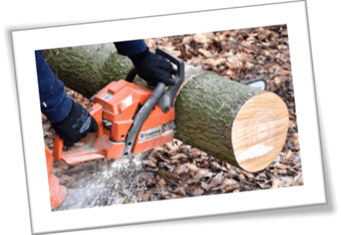 The Complete Chainsaw Buying Guide – Powertoolbuzz