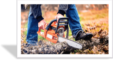 The Complete Chainsaw Buying Guide – Powertoolbuzz